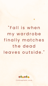 83 Hilariously Funny Fall Quotes That Will Brighten Your Autumn Days!