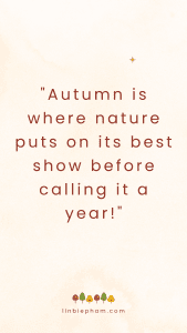 83 Hilariously Funny Fall Quotes That Will Brighten Your Autumn Days!