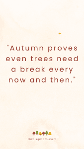 83 Hilariously Funny Fall Quotes That Will Brighten Your Autumn Days!