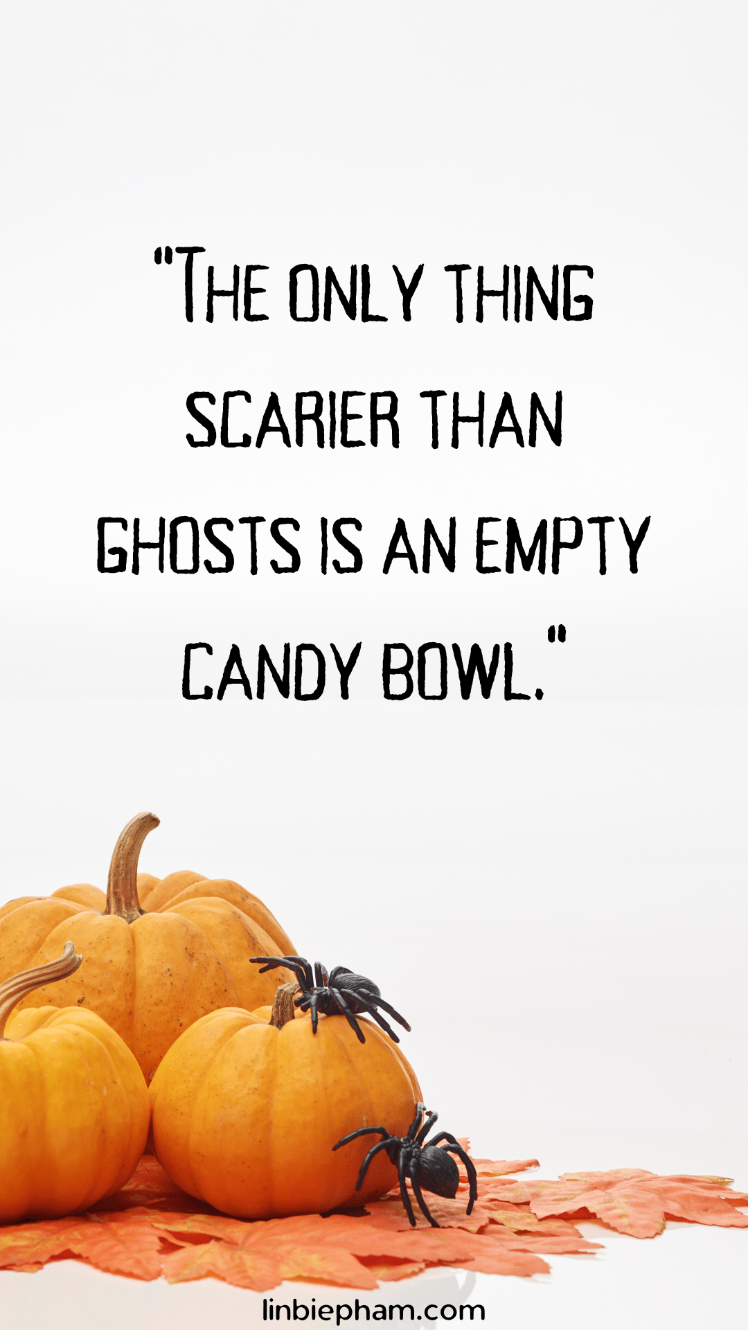65 Funny Halloween Quotes Guaranteed to Make You Howl with Laughter!