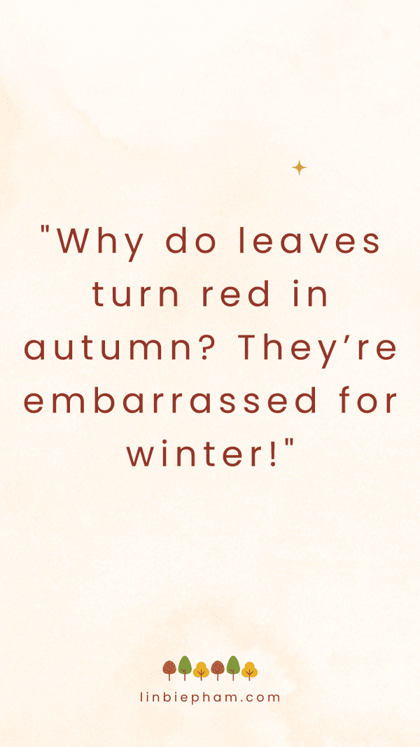 83 Hilariously Funny Fall Quotes That Will Brighten Your Autumn Days!