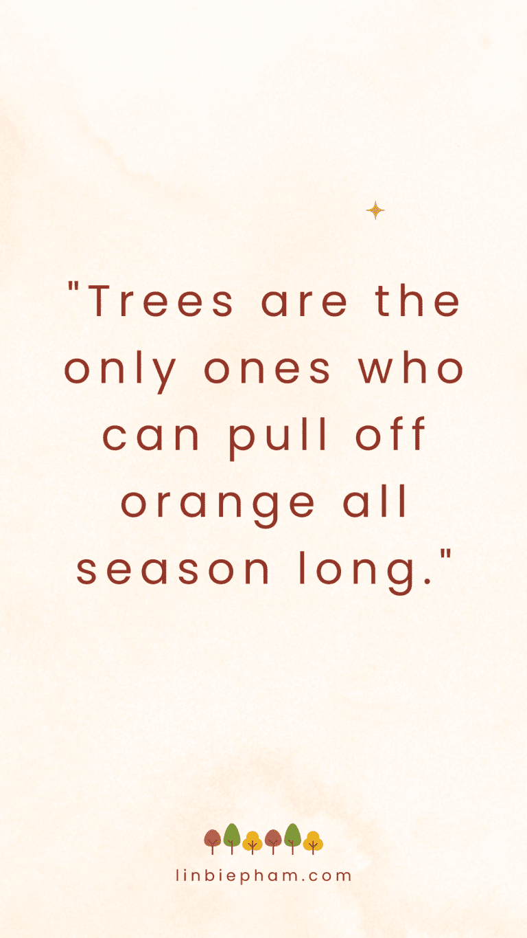 83 Hilariously Funny Fall Quotes That Will Brighten Your Autumn Days!