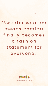 83 Hilariously Funny Fall Quotes That Will Brighten Your Autumn Days!