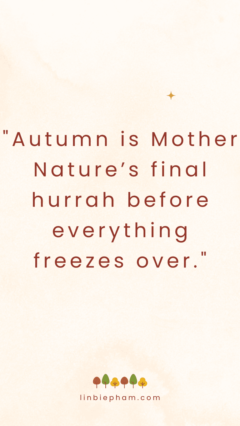 83 Hilariously Funny Fall Quotes That Will Brighten Your Autumn Days!