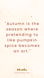 83 Hilariously Funny Fall Quotes That Will Brighten Your Autumn Days!