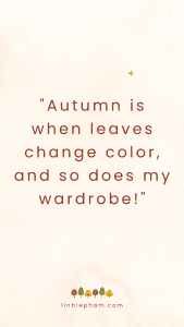 83 Hilariously Funny Fall Quotes That Will Brighten Your Autumn Days!