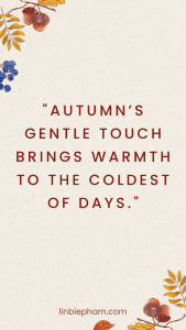 75 Incredibly Cute Fall Quotes to Make Your Autumn Extra Cozy!