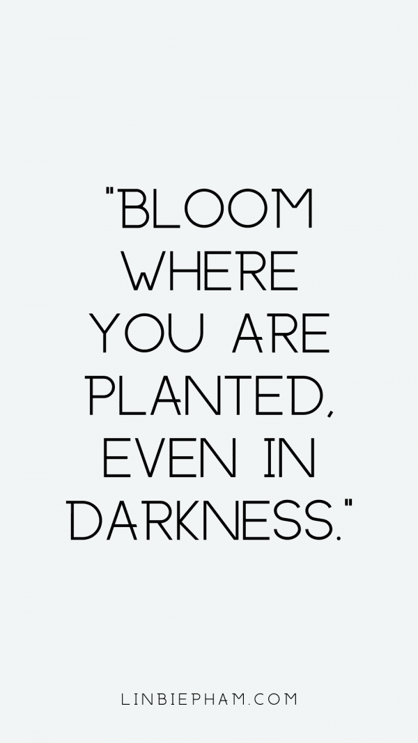 125 Powerful Short Deep Captions to Inspire Your Audience