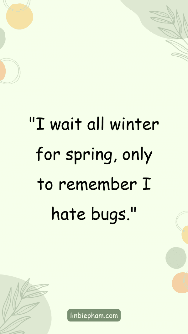127 Hilariously Funny Spring Quotes to Add Sunshine to Your Day