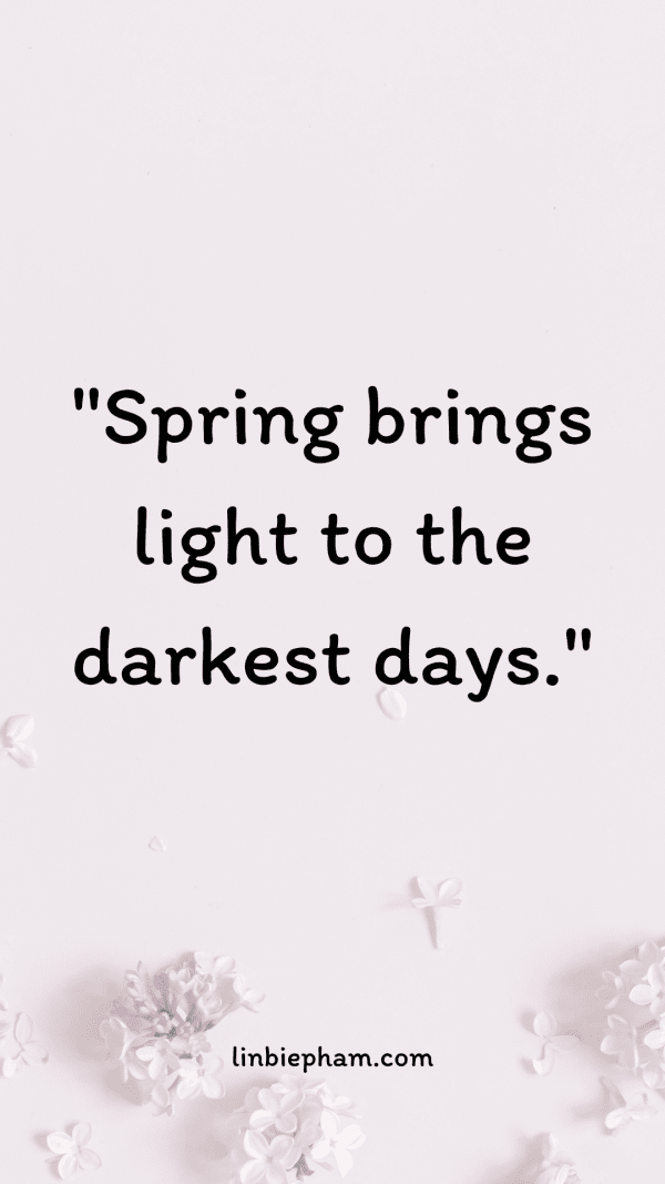 137 Beautifully Short Spring Quotes to Brighten Your Day Instantly