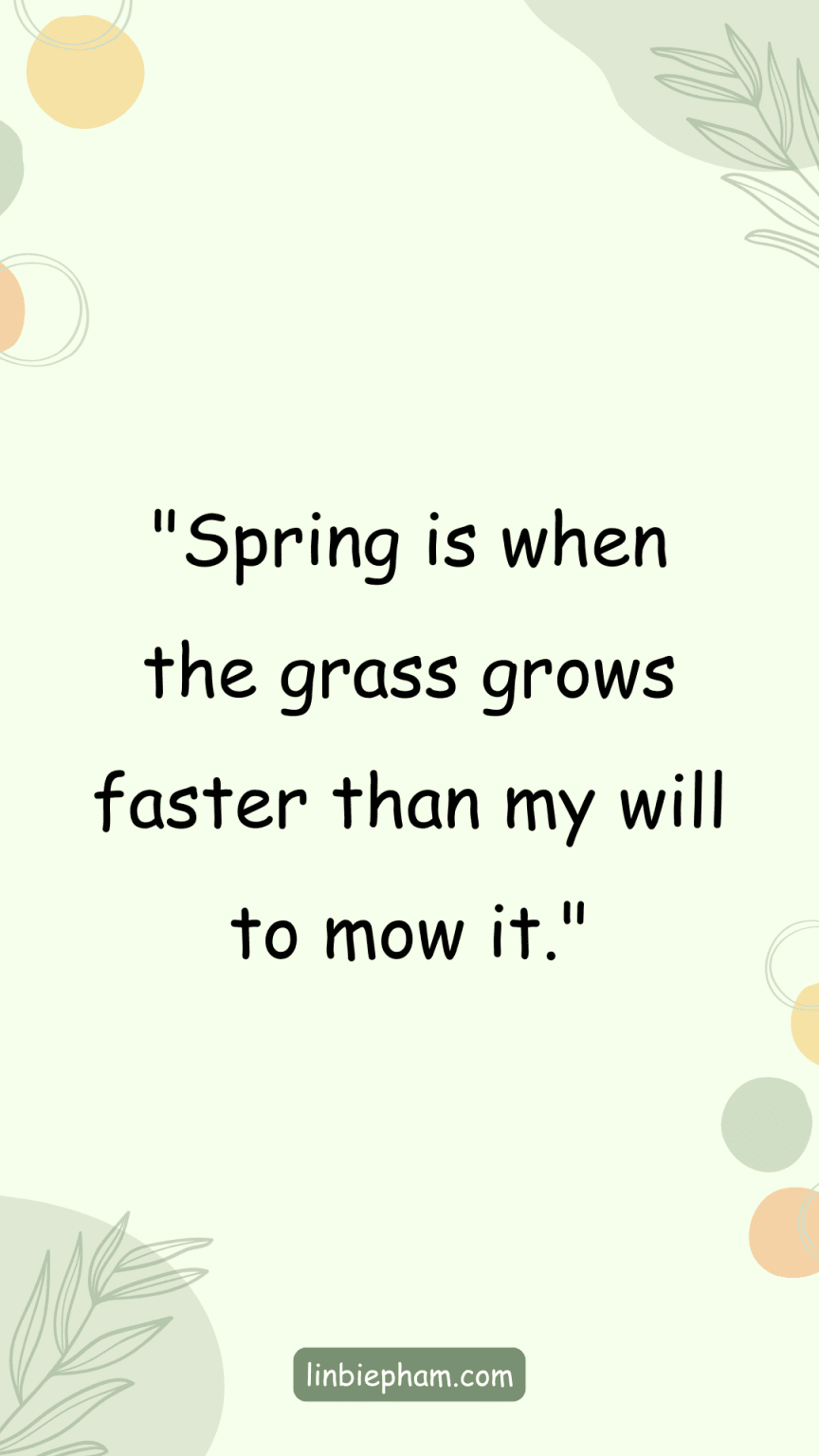 127 Hilariously Funny Spring Quotes to Add Sunshine to Your Day