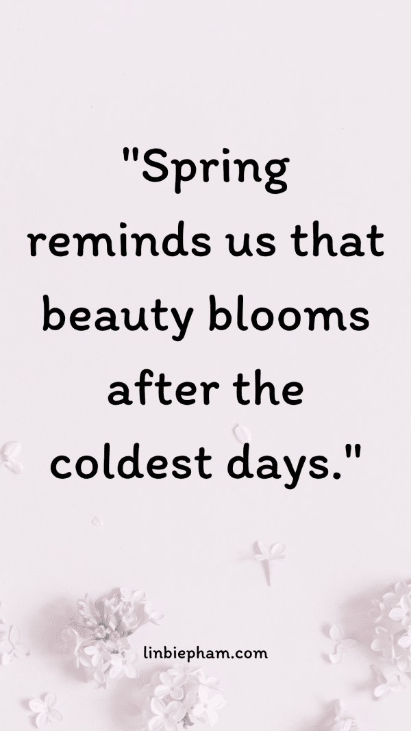137 Beautifully Short Spring Quotes to Brighten Your Day Instantly