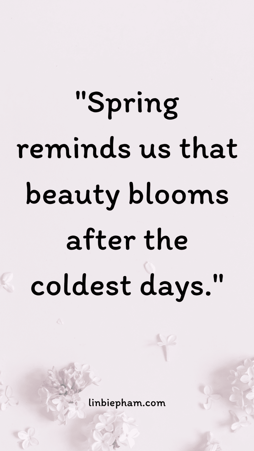 137 Beautifully Short Spring Quotes to Brighten Your Day Instantly
