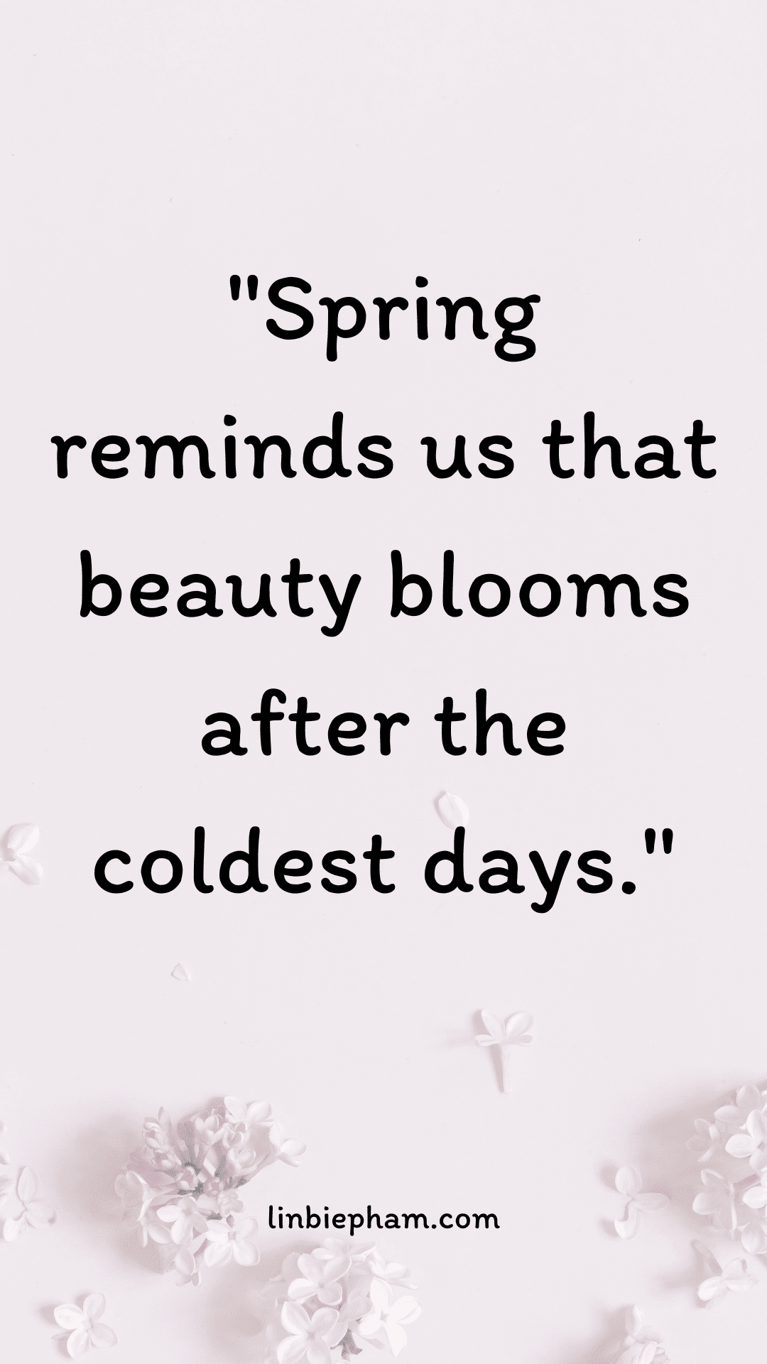 137 Beautifully Short Spring Quotes to Brighten Your Day Instantly