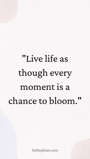153 Powerful Inspirational Life Quotes to Uplift and Empower Your Journey