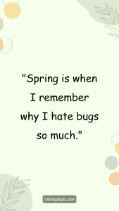 127 Hilariously Funny Spring Quotes to Add Sunshine to Your Day