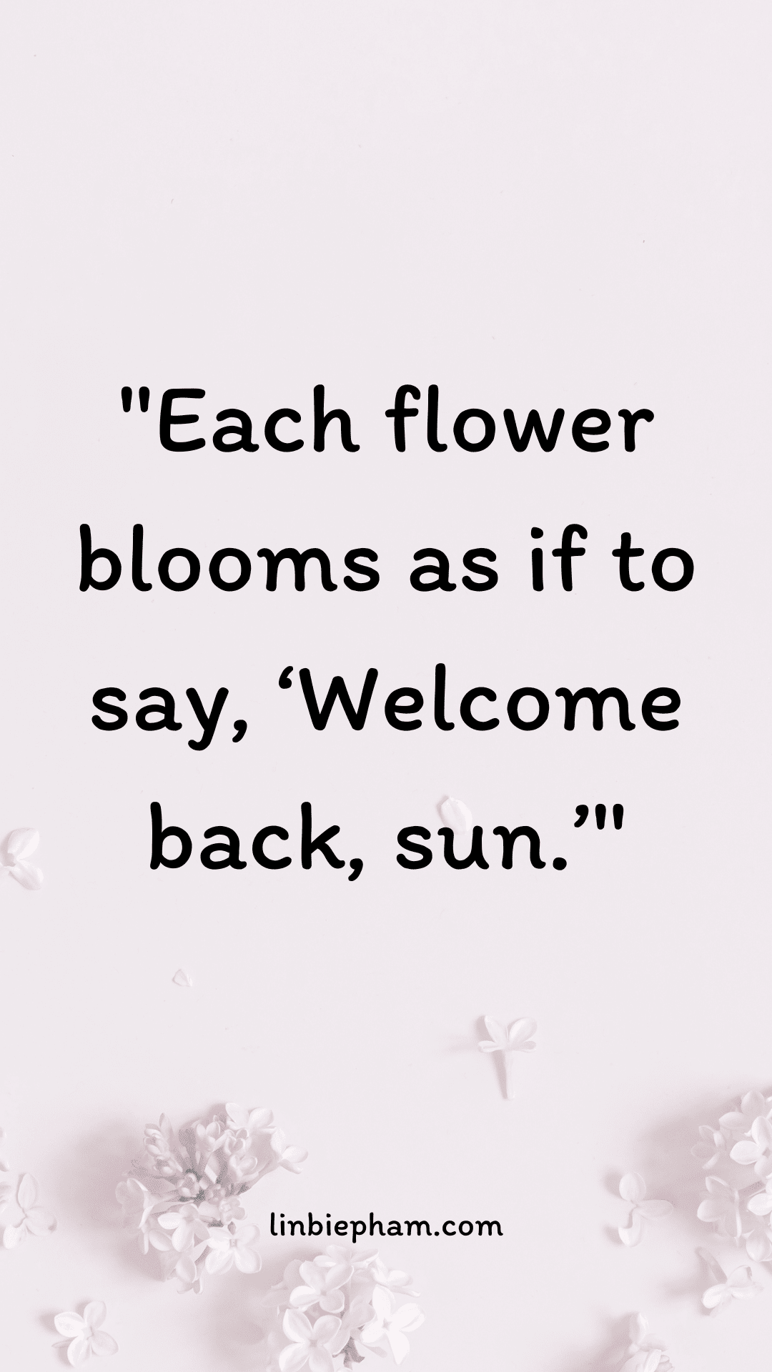 137 Beautifully Short Spring Quotes to Brighten Your Day Instantly