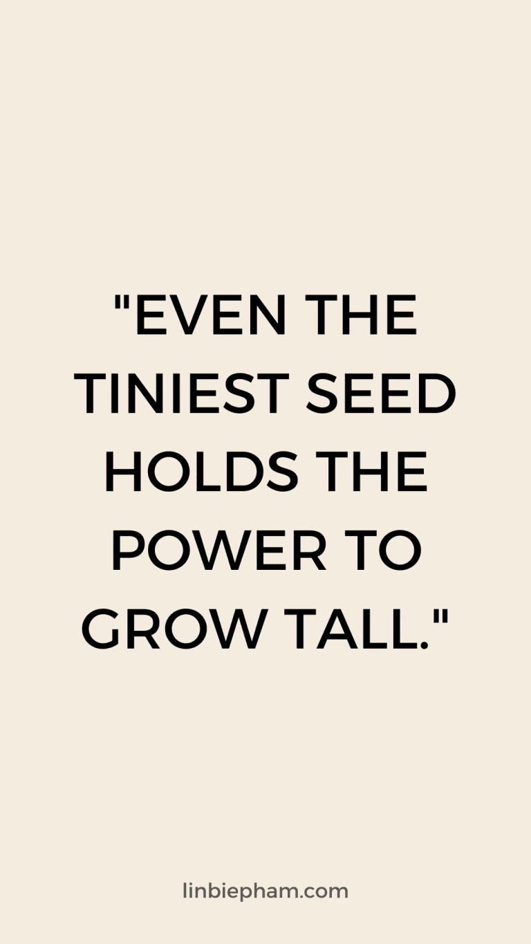 135 Powerful Short Quotes to Inspire and Brighten Your Day