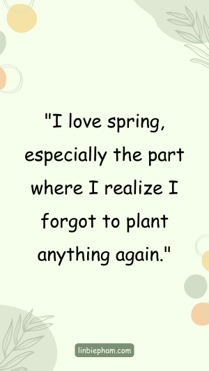 127 Hilariously Funny Spring Quotes to Add Sunshine to Your Day