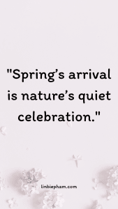 137 Beautifully Short Spring Quotes to Brighten Your Day Instantly