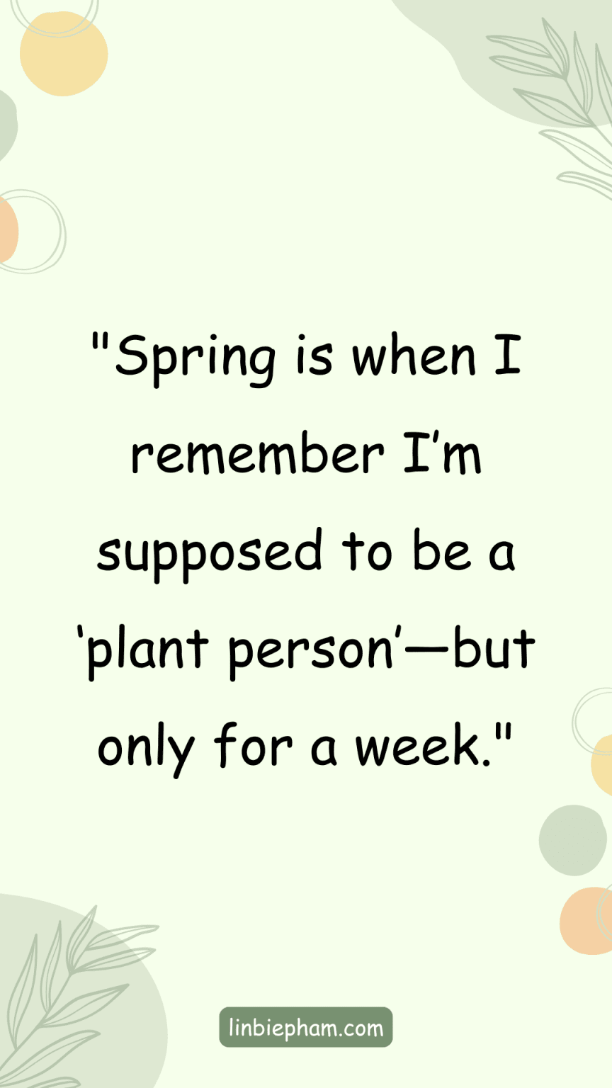 127 Hilariously Funny Spring Quotes to Add Sunshine to Your Day