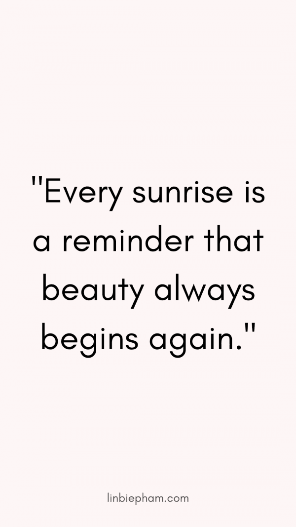 135+ Beautiful Pretty Quotes to Brighten Your Day Instantly