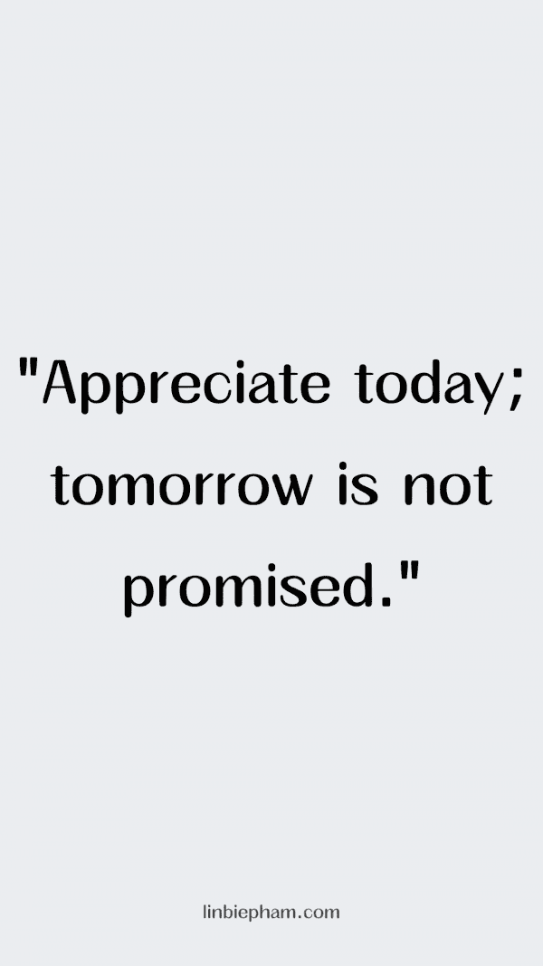 151 Short Gratitude Quotes to Inspire Daily Happiness